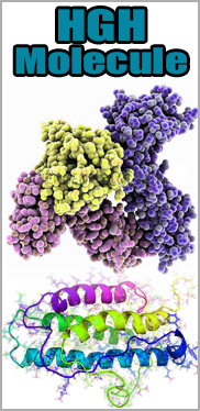 HGH Deficiency Test | HGH Levels Decline Evaluation