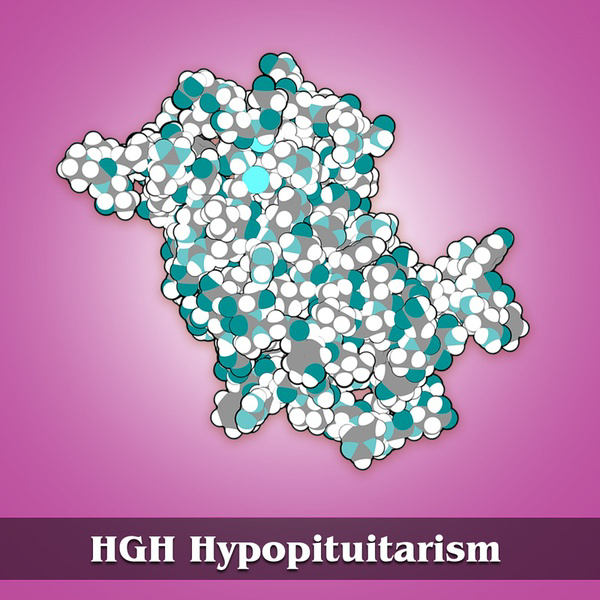 Understanding the Benefits and Functions of HGH