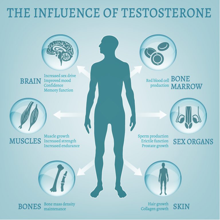 All About Testosterone Therapy