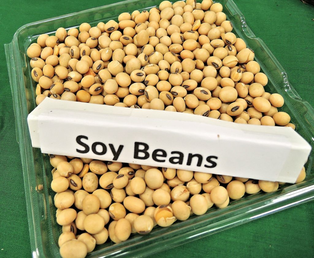 The “Soyboy” Idea – Do Soy-based Foods Feminize Males?