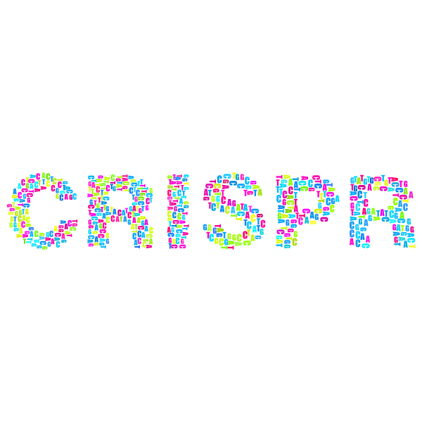 CRISPR Editing RNA? YES!